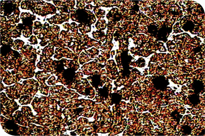 CS Metal Graphite Steel Rolls